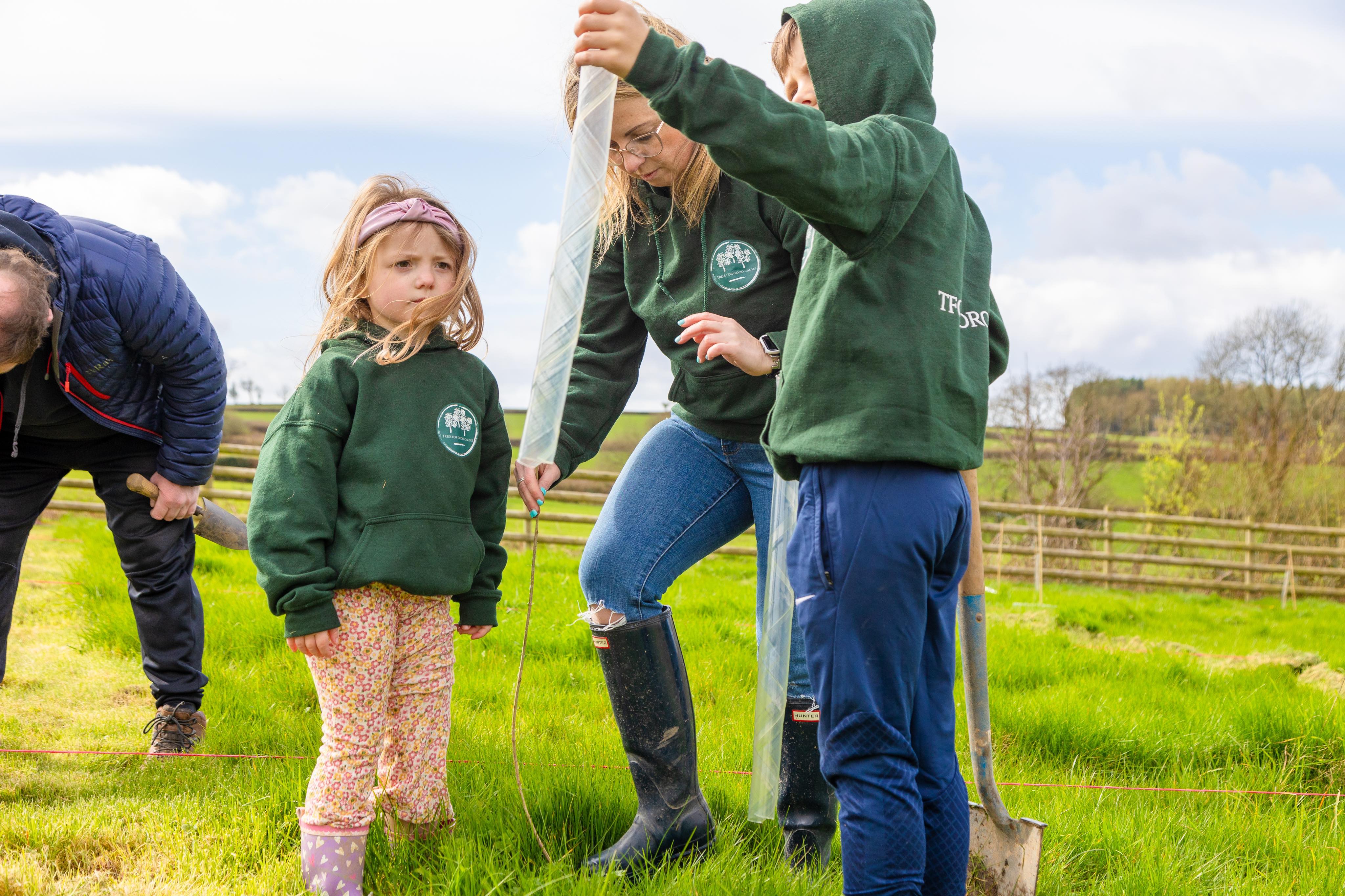 Springing Into a New FIN Activated Challenge