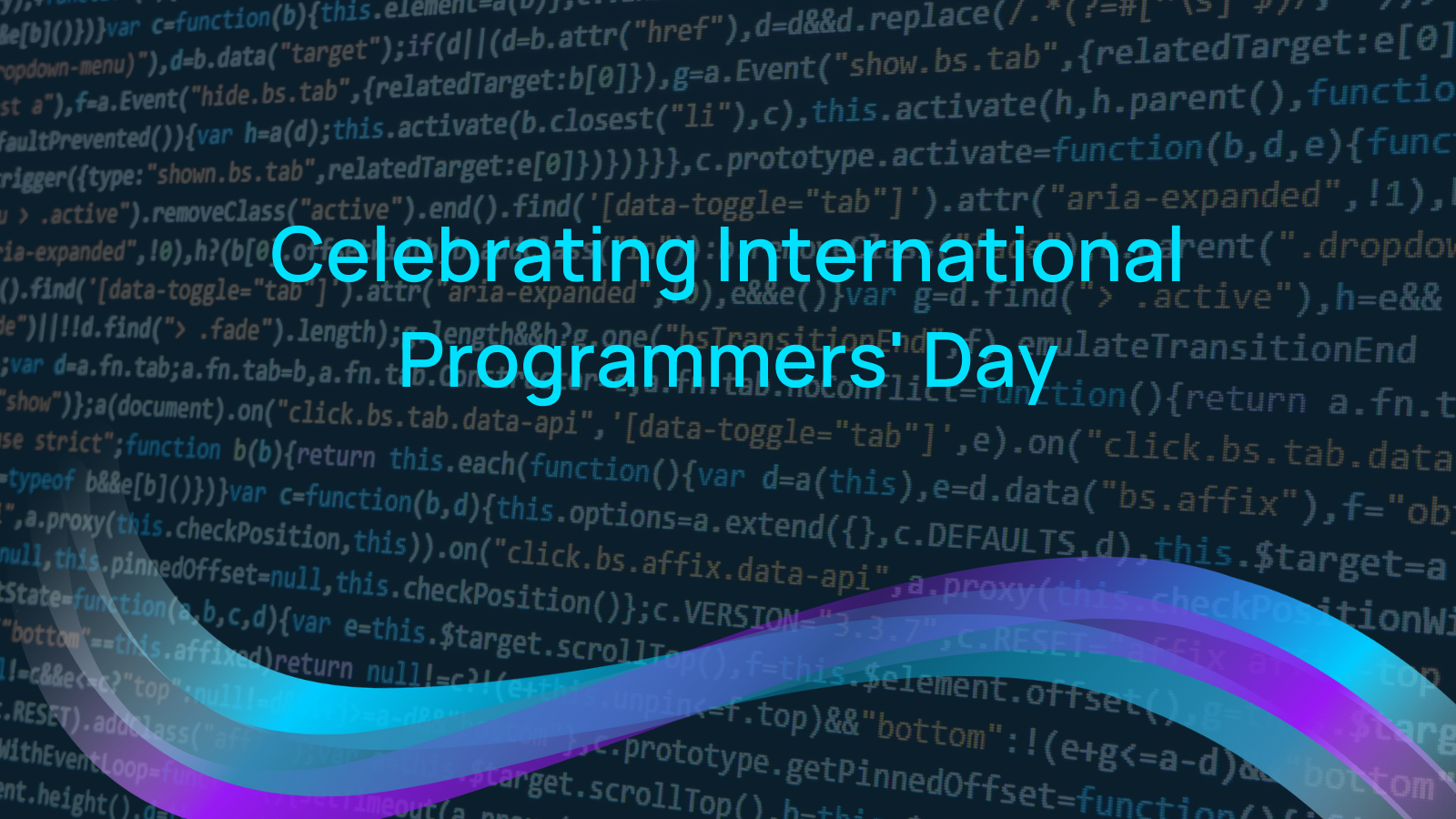 Celebrating International Programmers' Day